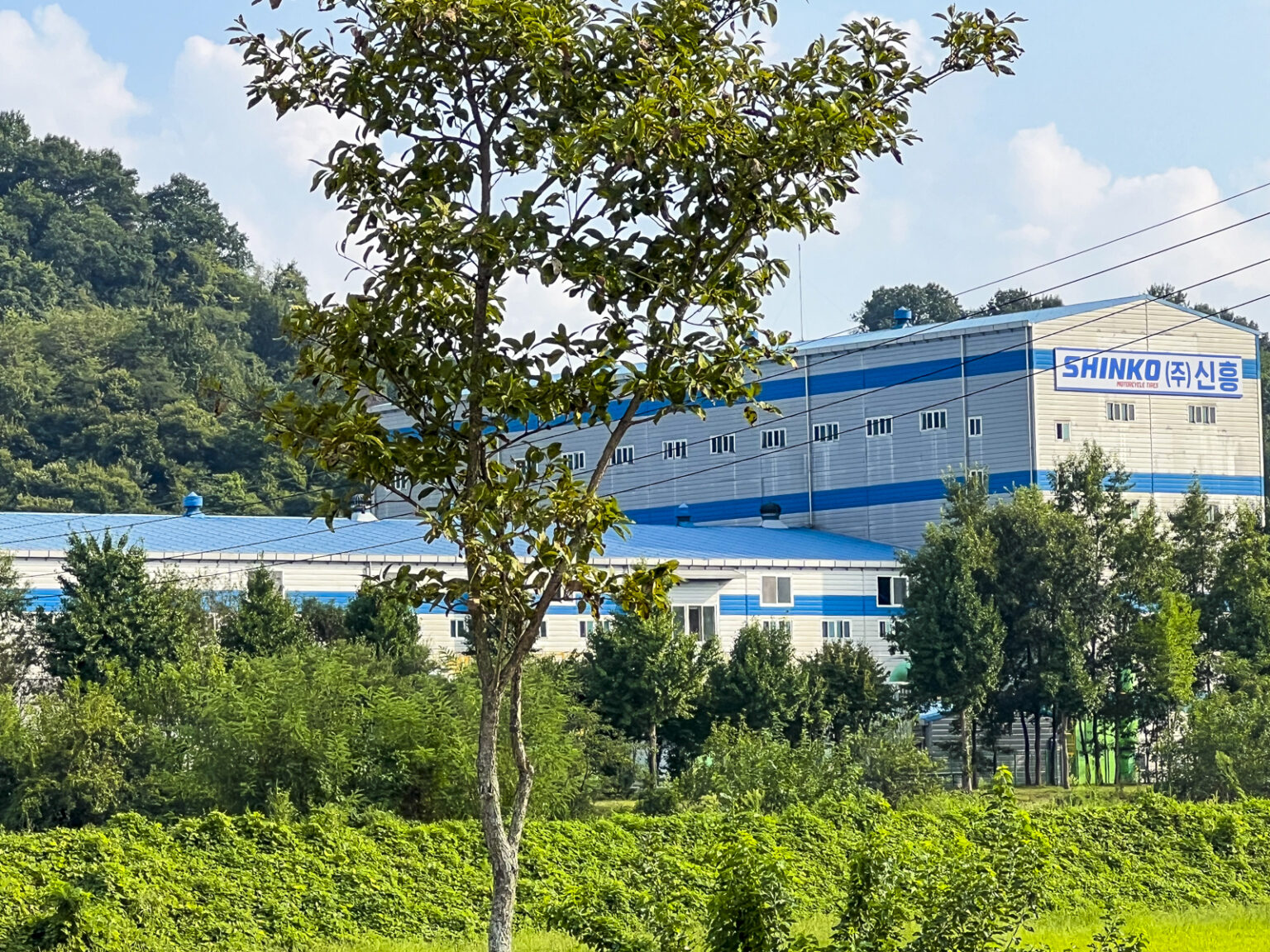 About Shinko Tires